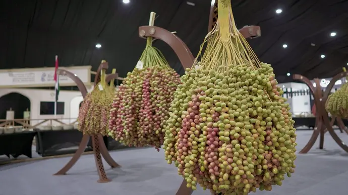 Under The Patronage Of Mansour Bin Zayed 20th Liwa Date Festival To
